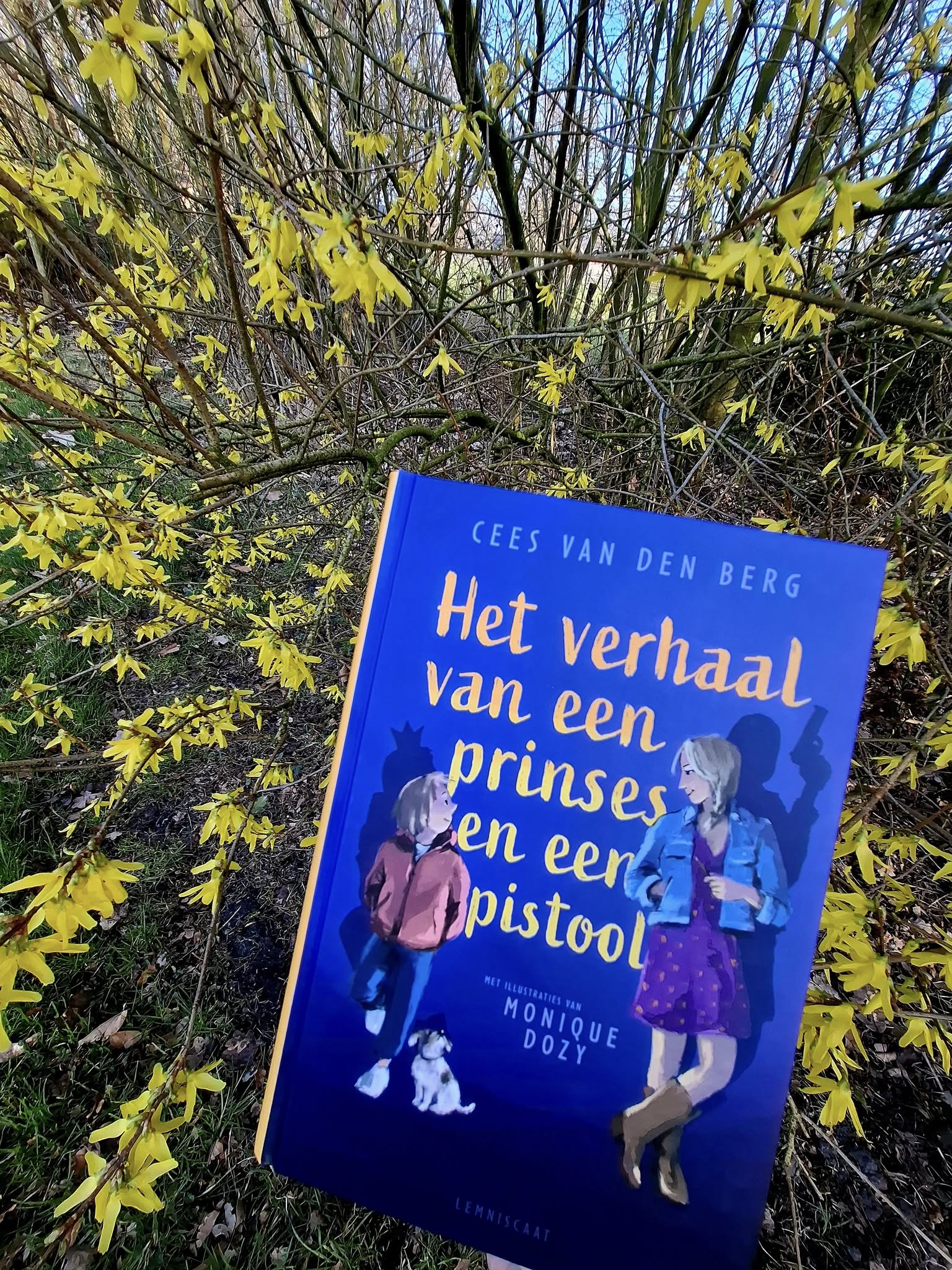 Het verhaal van een prinses en een pistool - Juf Akkie